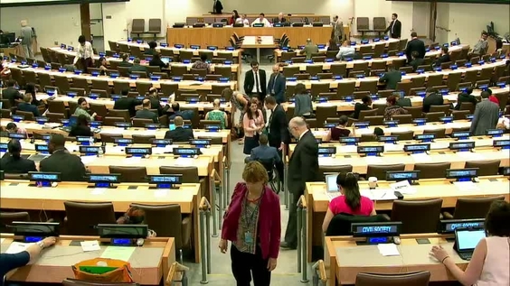 (17th meeting) UN conference to negotiate a legally binding instrument ...