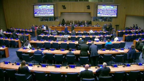 Fourth Committee, 8th meeting - General Assembly 73rd session | UN Web TV