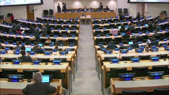 Second Committee, Dialogue with the Executive Secretaries of the ...