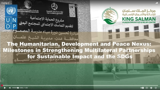 The Humanitarian, Development and Peace Nexus: Milestones in Strengthening Multilateral ...