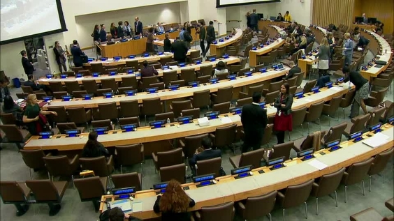 Third Committee, 31st meeting - General Assembly, 72nd session | UN Web TV