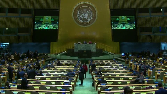 General Assembly, 61st plenary meeting, 72nd session | UN Web TV