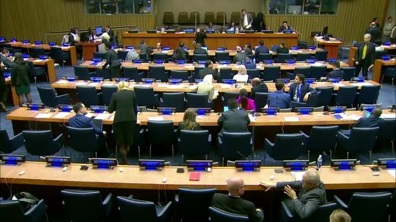 Fourth Committee, 3rd meeting - General Assembly 73rd session | UN Web TV