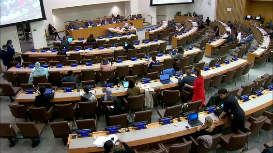Third Committee, 22nd meeting - General Assembly, 74th session | UN Web TV