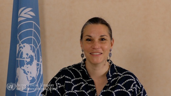 Samantha Besson - Due Diligence in International Law | UN Web TV