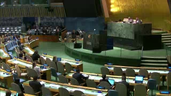 Paraguay, General Debate, 69th Session | UN Web TV
