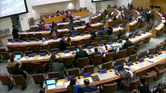Third Committee, 2nd meeting - General Assembly, 73rd session | UN Web TV