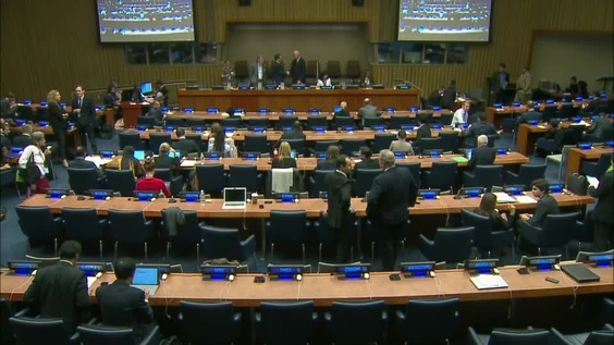 Fourth Committee, 24th meeting - General Assembly, 72nd session | UN Web TV