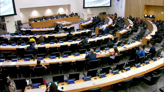 Second Committee, 9th meeting - General Assembly, 73rd session. | UN Web TV