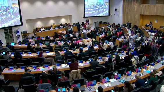 Aligning the Beijing Platform for Action and the Pact for the Future ...