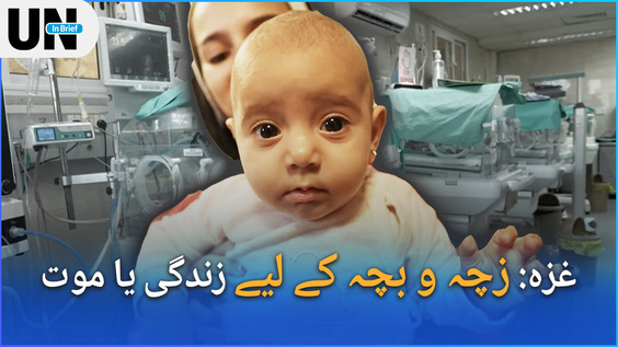 5,500 women in Gaza set to give birth Urdu | UN Web TV