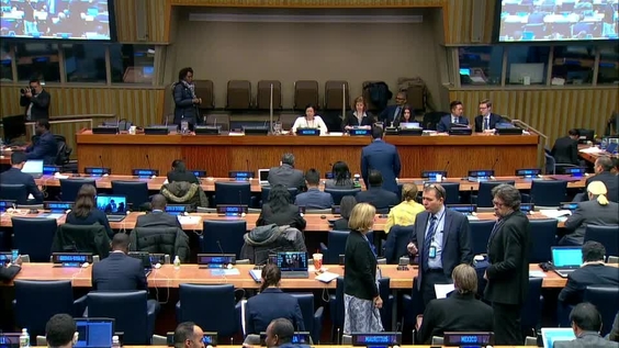 (22nd meeting) Intergovernmental Conference on marine biodiversity of ...