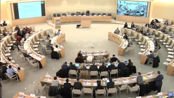 Agents of Change - 10th session of the Forum on Minority Issues | UN Web TV