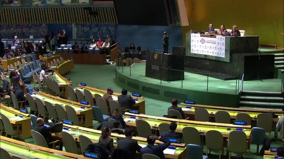 General Assembly: High-level plenary meeting for the global launch of ...