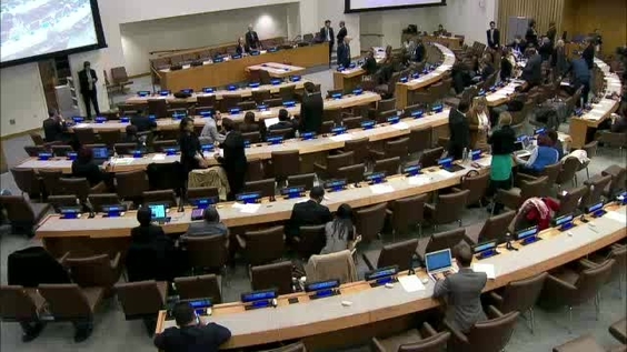 (8th meeting) Second drafting session on the outcome document of the ...