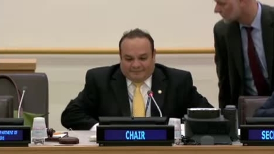 Fourth Committee, 6th meeting - 68th General Assembly | UN Web TV