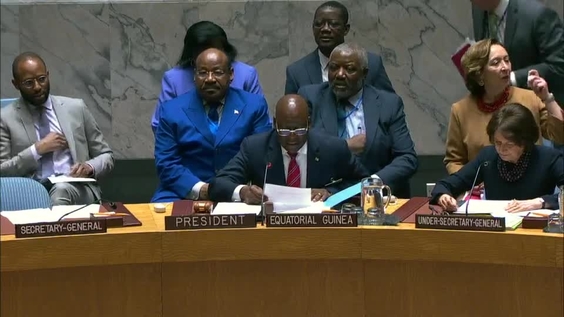 (Part 1) Silencing the Guns in Africa - Security Council, 8473rd ...