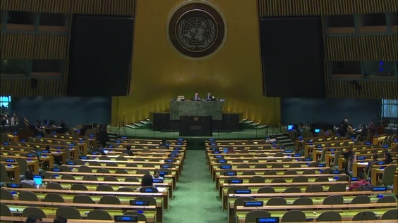 General Assembly, 94th plenary meeting, 73rd Session | UN Web TV