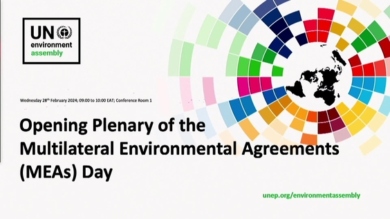 Opening of the Multilateral Environmental Agreements day - Sixth ...