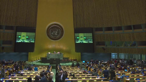 General Assembly 73rd Session - 66th Meeting | UN Web TV