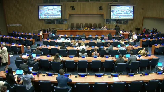 (46th meeting) Intergovernmental Conference on marine biodiversity of ...