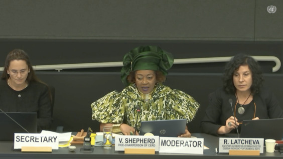 Committee on the Elimination of Racial Discrimination | UN Web TV