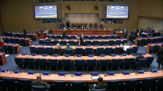 Fourth Committee, 5th meeting - 70th General Assembly | UN Web TV