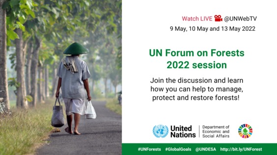 2nd Plenary Meeting - 17th session of the UN Forum on Forests (UNFF17 ...