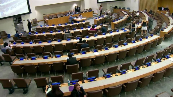 Third Committee, 9th meeting - General Assembly, 72nd session | UN Web TV
