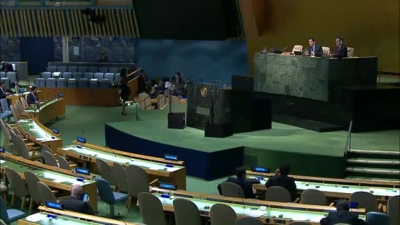 2nd plenary meeting, 30th Special Session on World Drug Problem ...
