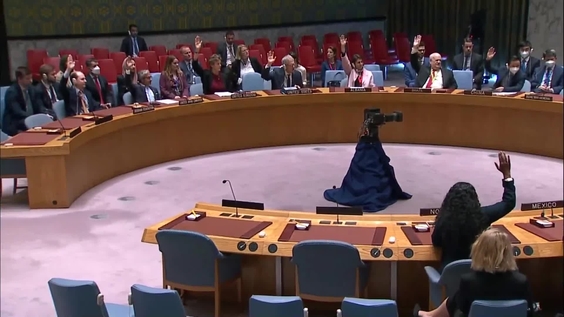 Maintenance of international peace and security - Security Council ...