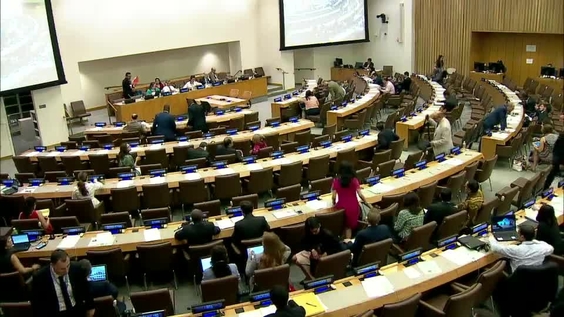 (18th meeting) UN conference to negotiate a legally binding instrument ...
