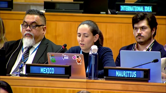 Third Committee, 43rd plenary meeting - General Assembly, 80th session ...