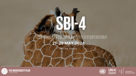 (14th Session) PLENARY: Agenda items 15 and 16 | UN Web TV