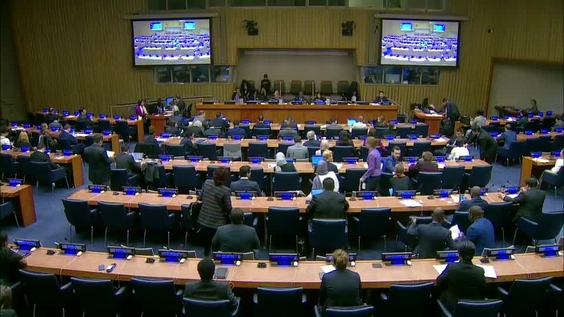 Fourth Committee, 7th meeting - General Assembly 73rd session | UN Web TV