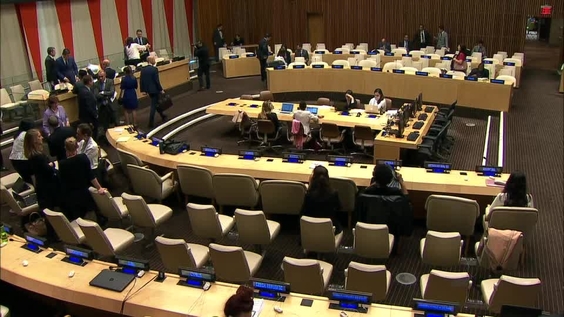 (3rd meeting) Preparatory process for the intergovernmental conference ...