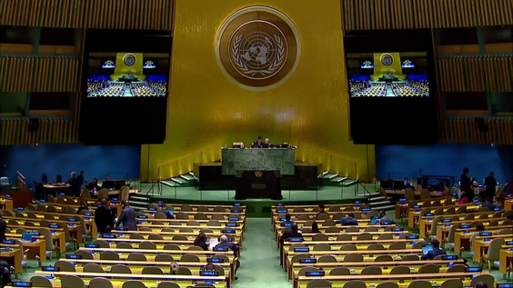 General Assembly | UN Web TV