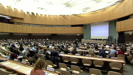 Panel One: voluntary and sustainable return - 4th Thematic Discussion ...