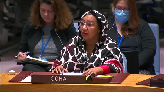 Ghada Eltahir Mudawi (OCHA) on the situation in Syria - Security ...