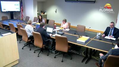 6/27/24 Revenue Estimating Conference: Measures Affecting Revenue - The ...