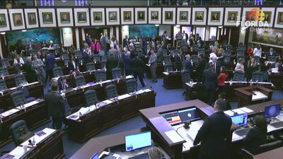 2/7/24 House Session - The Florida Channel