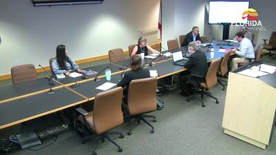 7/23/24 Revenue Estimating Conference: Article V Revenues - The Florida ...