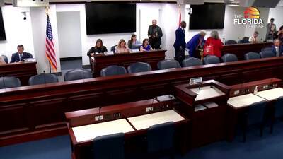 4/8/25 House Education & Employment Committee - The Florida Channel