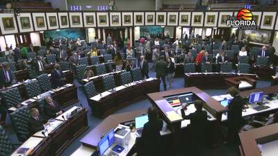 4/29/25 House Session - The Florida Channel