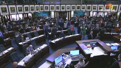 3/5/24 House Session - The Florida Channel
