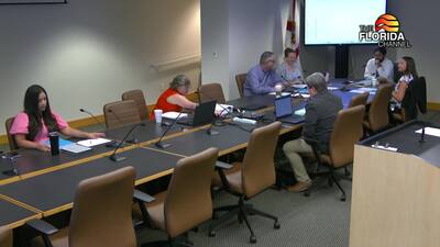 7/10/25 Revenue Estimating Impact Conference: Measures Affecting ...