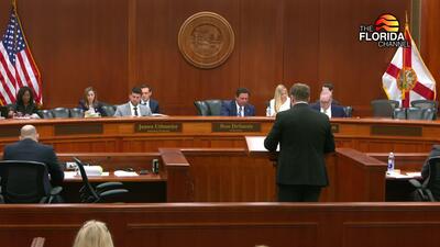 6/11/25 Executive Clemency Board Meeting - The Florida Channel