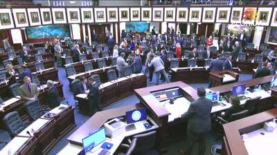 2/11/25 House Special Session C - The Florida Channel