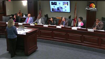 10/29/25 Florida Children and Youth Cabinet - The Florida Channel
