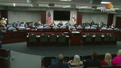 2/13/24 House Health Care Appropriations Subcommittee - The Florida ...